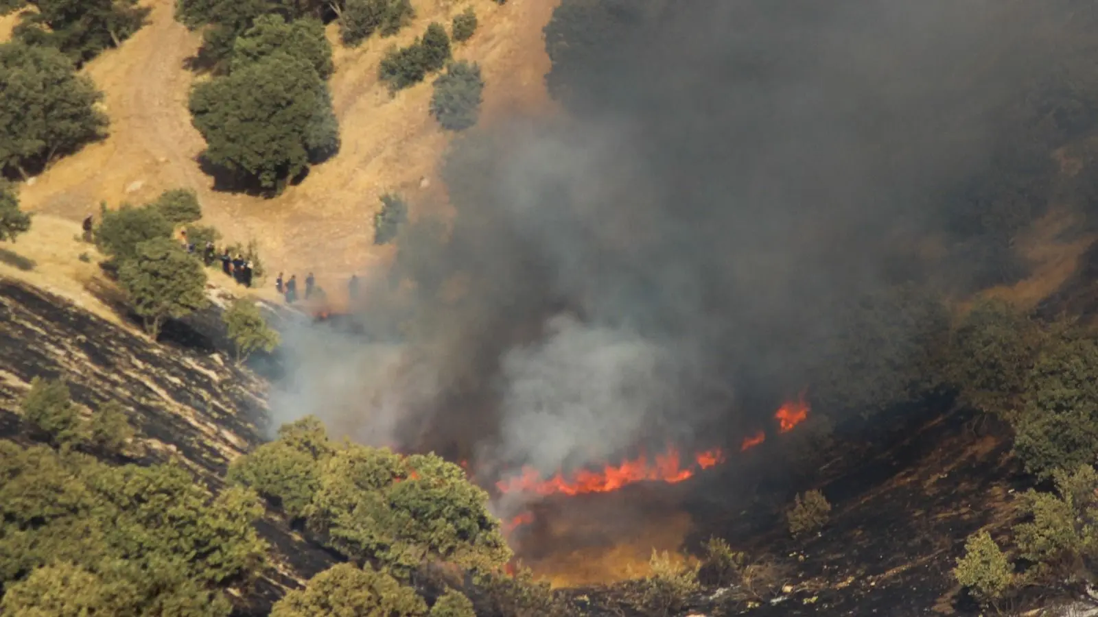 Centuries-Old Forests Reduced to Ash: Halabja Fire Destroys 150,000 ...